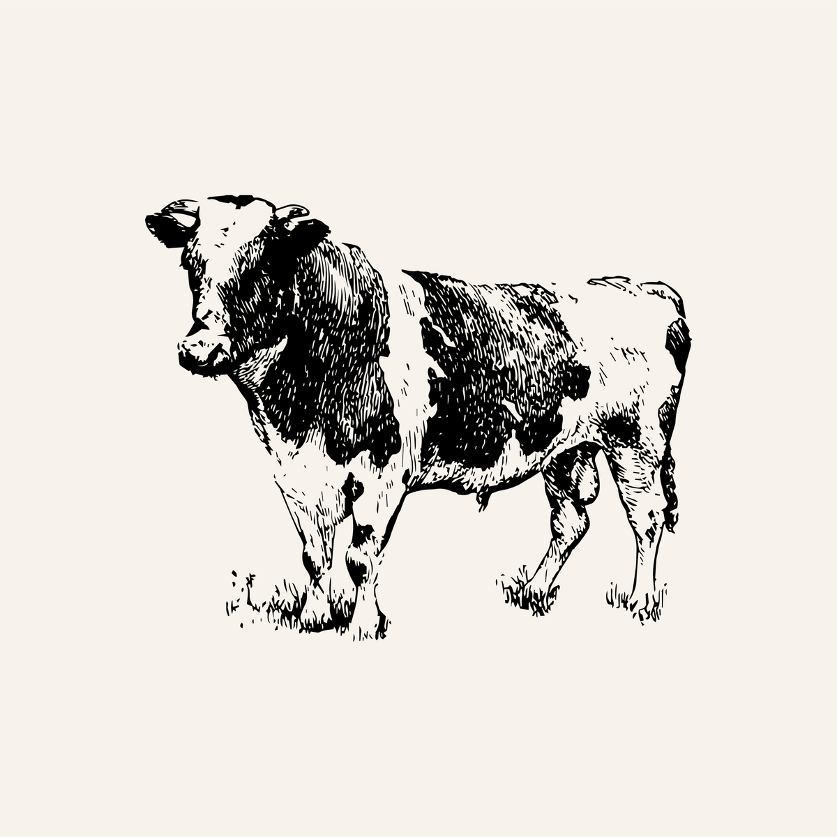 USDA Beef– Chicago Game & Gourmet