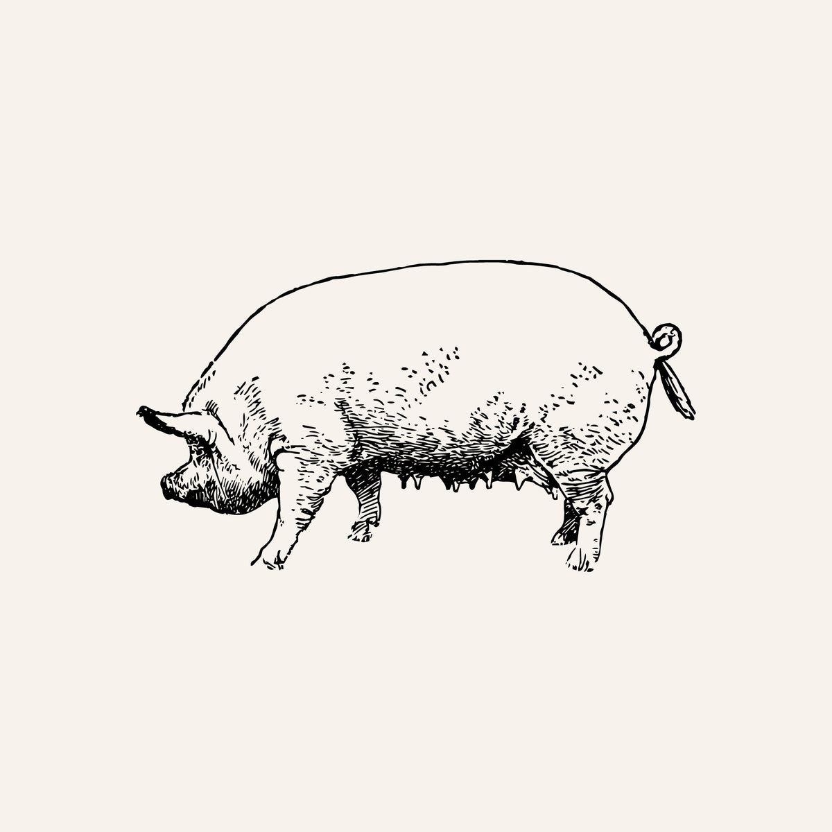 Heritage Pork – Chicago Game & Gourmet